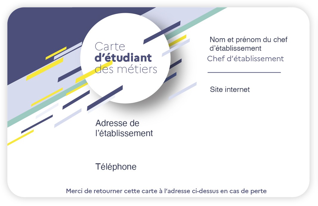 Formation en alternance, découvrez nos offres | Studi